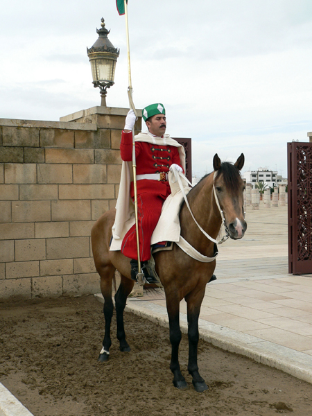 Foto Friday – Working Beasts of Morocco | The Ya'lla Blog