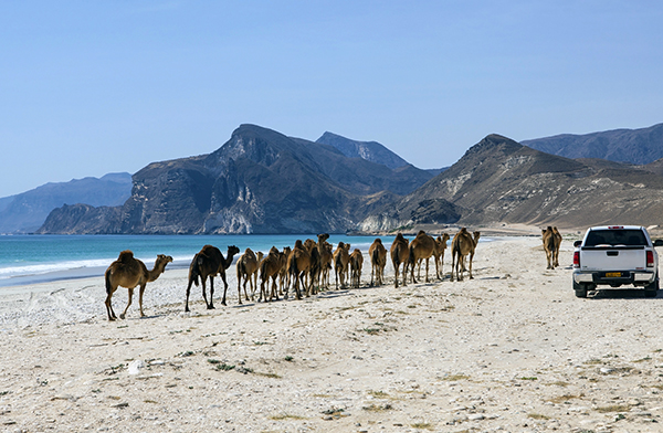Oman Tours - Foto Friday – Yalla Tours Blog