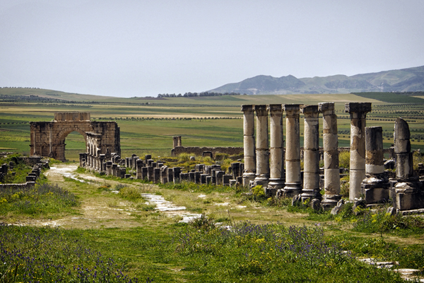 Morocco Tours: Roman Volubilis! – Yalla Tours Blog
