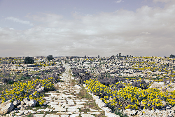 CHRISTIAN ROOTS IN TURKEY – Yalla Tours Blog