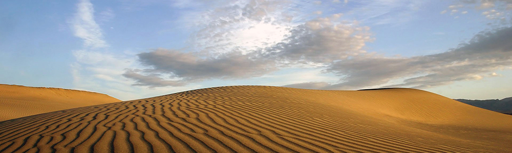 Foto Friday - Morning in the Sahara – Yalla Tours Blog