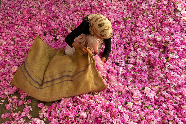 WHY MOROCCO? – Yalla Tours Blog